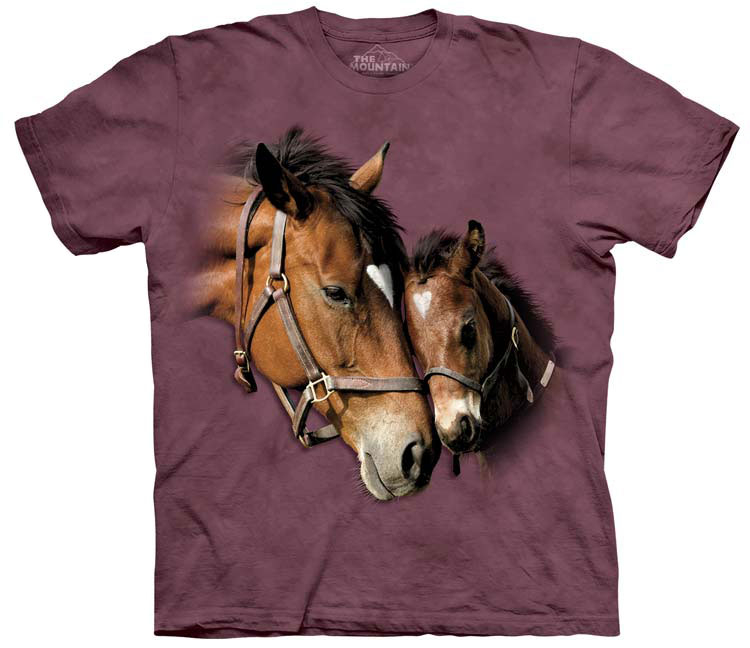 How do horses communicate?